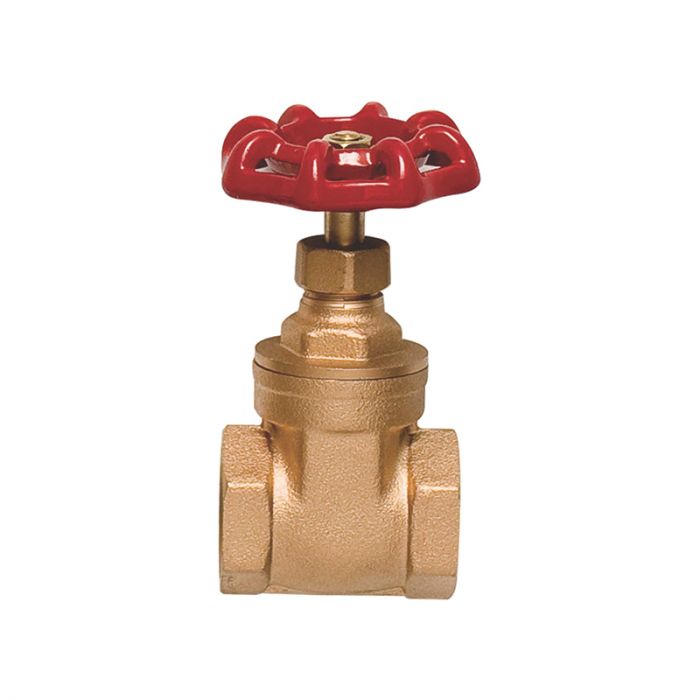 Gate Valve 25mm FxF